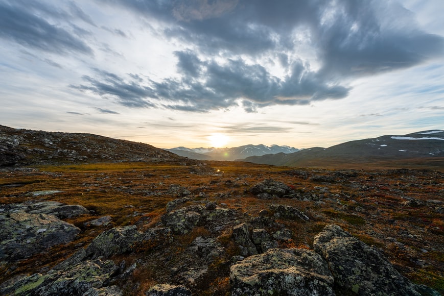 The Wilderness – Enter the Mystery